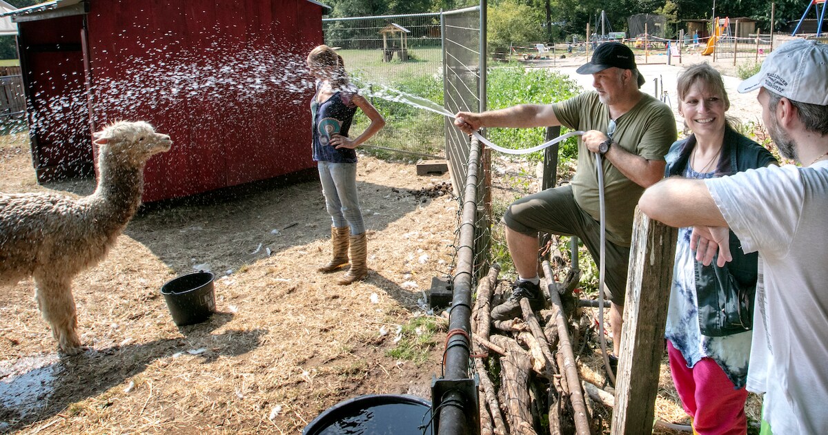 Kinderboerderij is blij met elke druppel | 's-Hertogenbosch | BD.nl