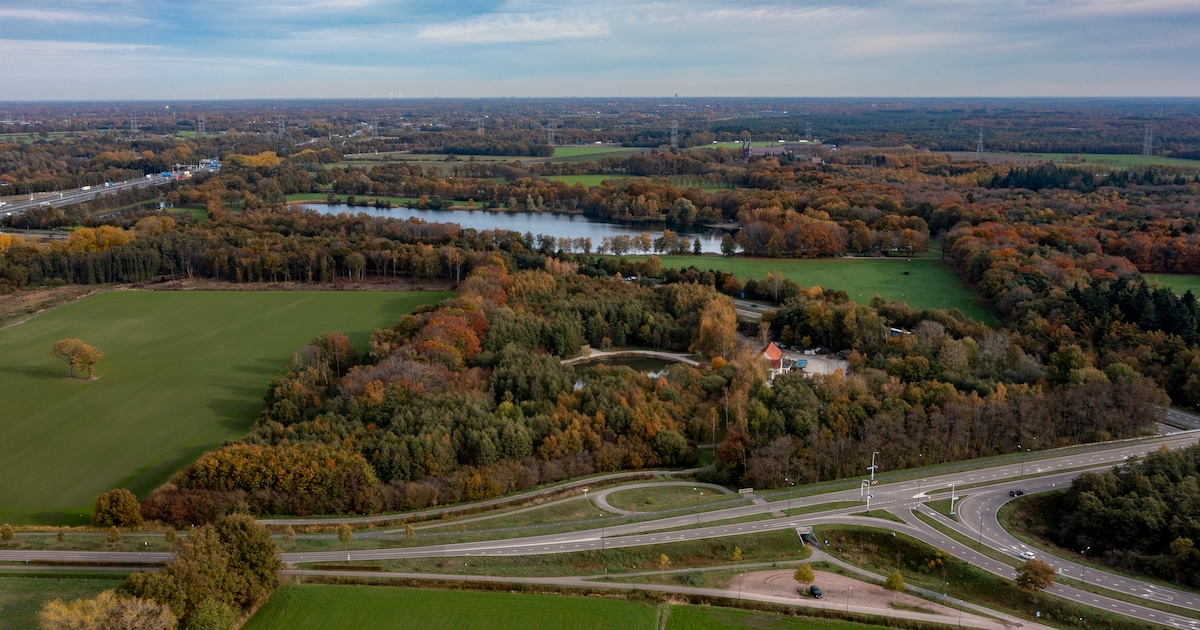 Zorgen in Hilvarenbeek om belangen Beekse Bergen én omwonenden in ...