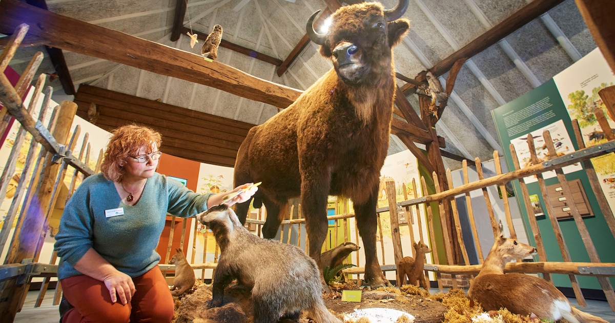 Vertrekkend beheerder Natuurcentrum Maashorst laat uitdagend cadeau ...