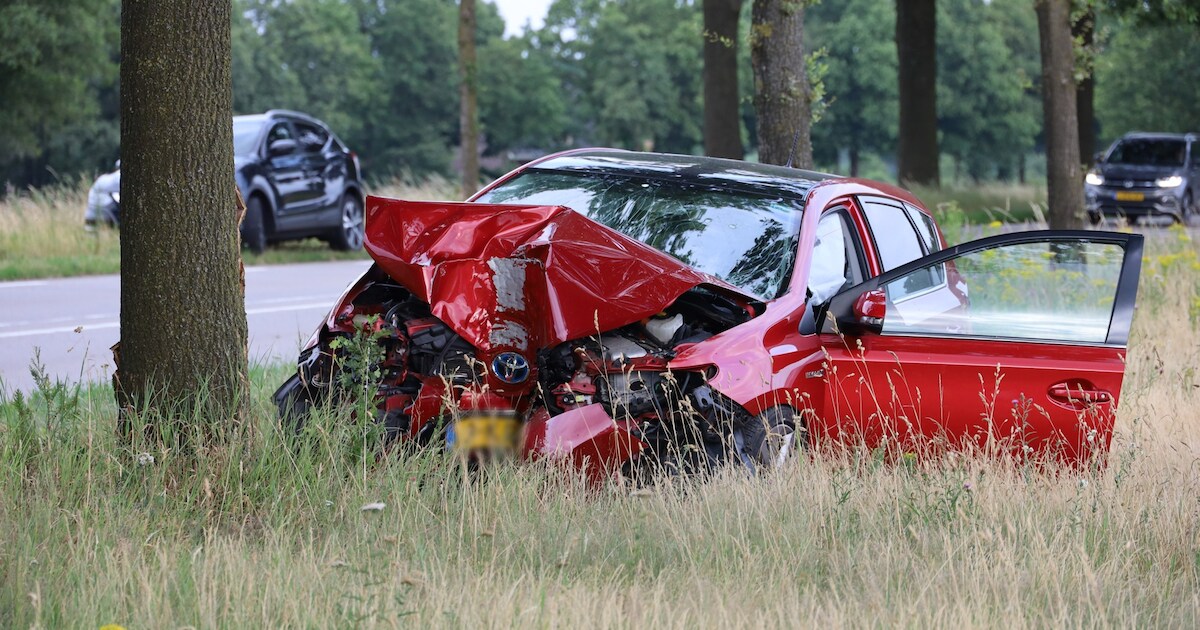 Man gewond na botsing tegen boom op N277 in Zeeland | Regio | BD.nl