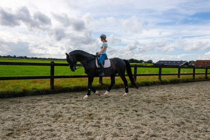 Nispense Emma vreest voor haar dressuurstal als nieuwe weg er komt ...