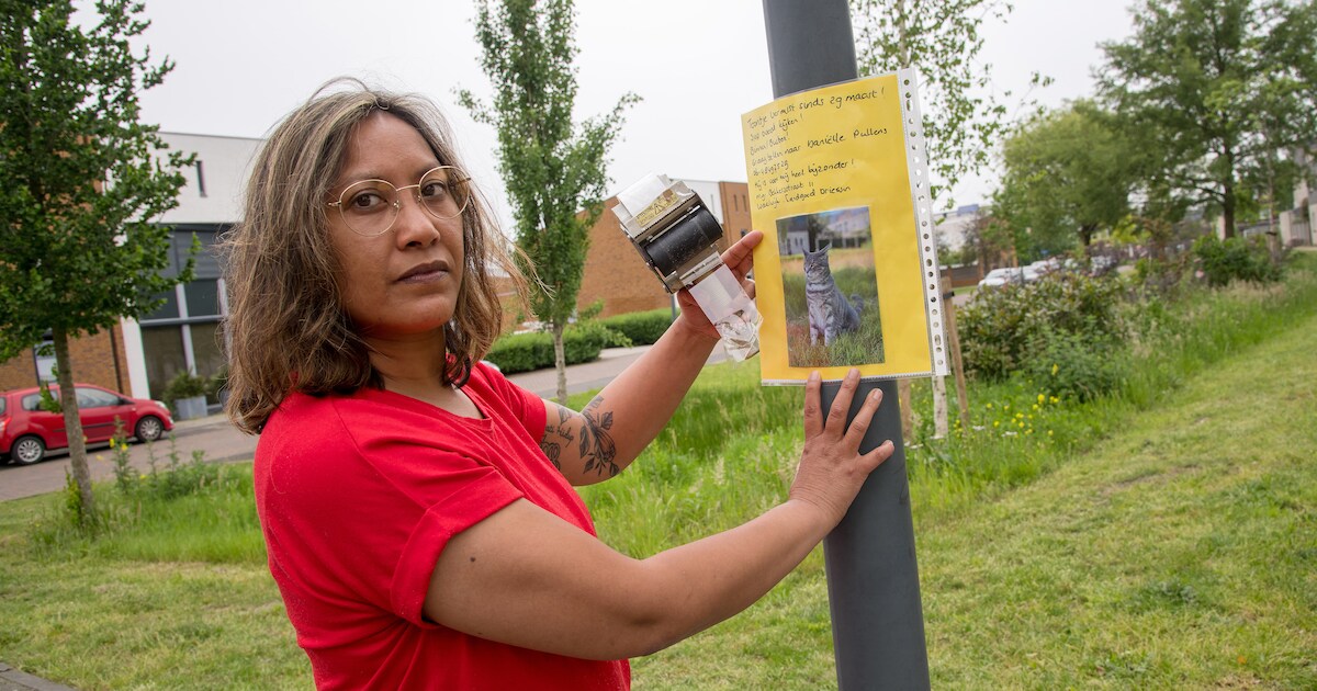 Daniëlle (41) mist kater Toontje zó erg, dat ze een bijzondere ...