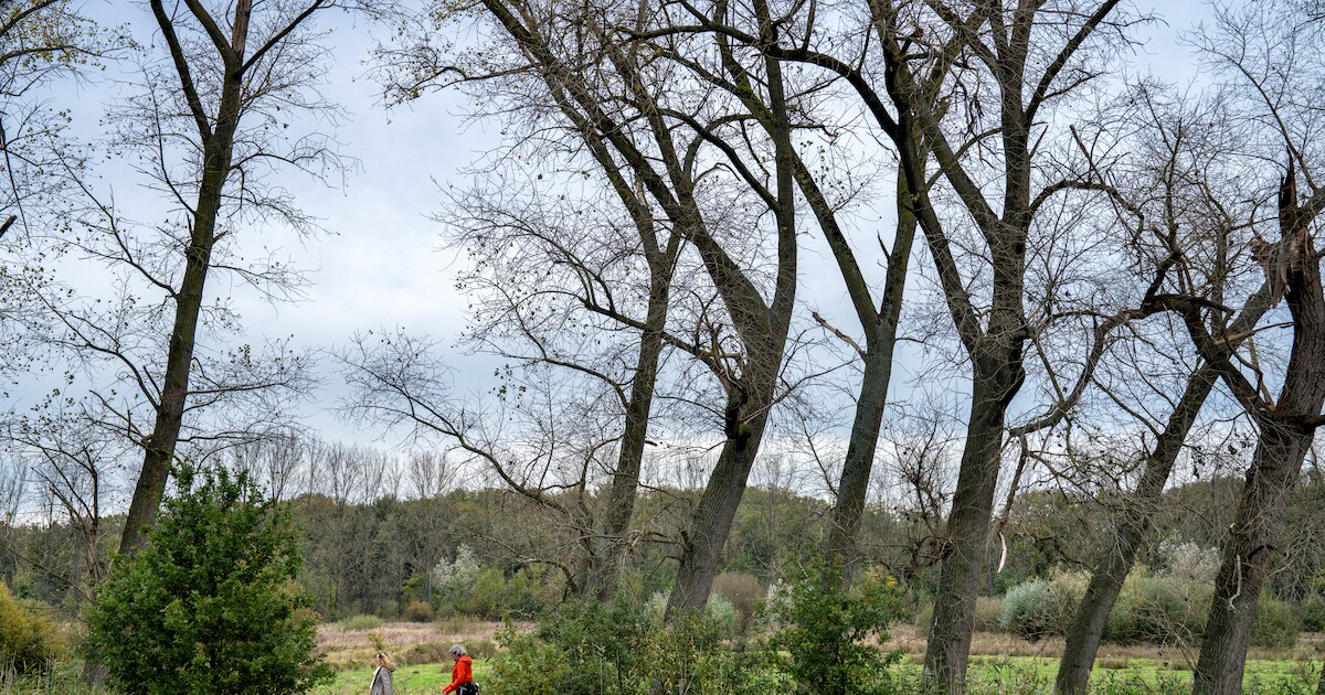 Waterkeringen rond Bossche Broek Zuid zijn niet op orde | Meierij | BD.nl