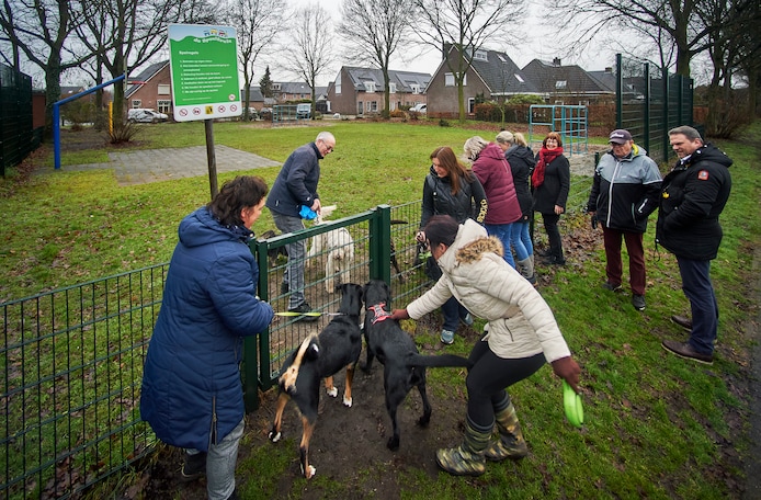 Boete van 150 euro dreigt voor Boekelse baasjes die hun hond loslaten op speelterreintje ...