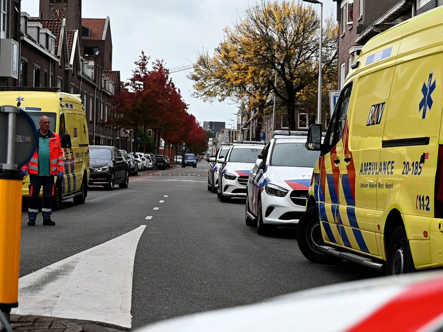 Wolf loopt langs ijseters: ‘Mijn zus dacht dat ik AI had gebruikt ...