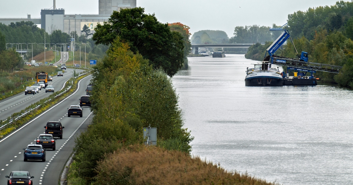 Bouwkranen en vrachtwagens moeten knikkend nagelkruid en zwartblauwe ...