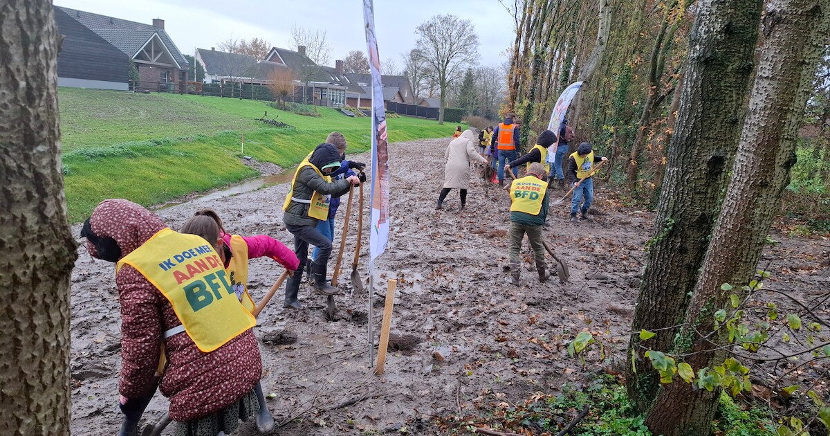 Dikke duim van das en modderkruiper voor scholieren die bomen langs hun ...