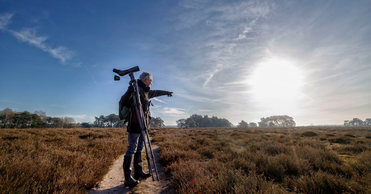Dit natuurgebied wint het van de vraag naar extra drinkwater ...