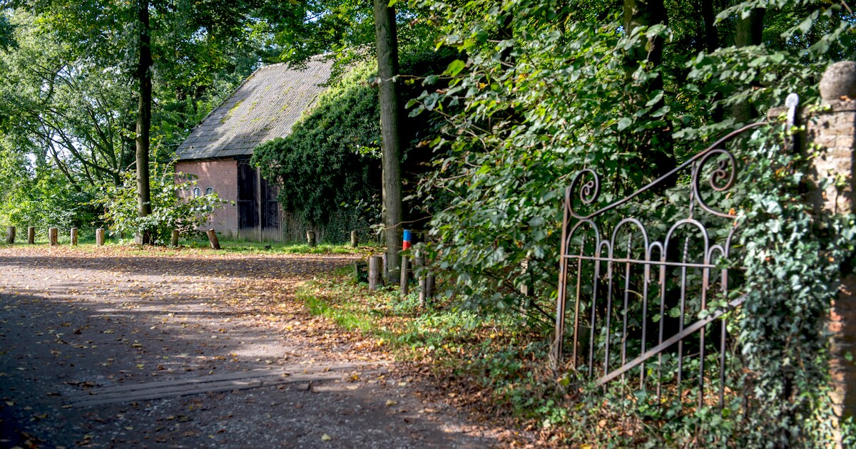 Wandelen door de historie van buurtschap Halder | Sint-Michielsgestel | BD.nl