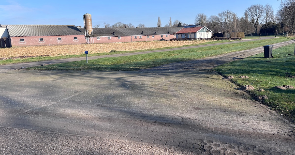 Illegale uitrit in Uden: buren willen dat rechtbank varkenshouder ...