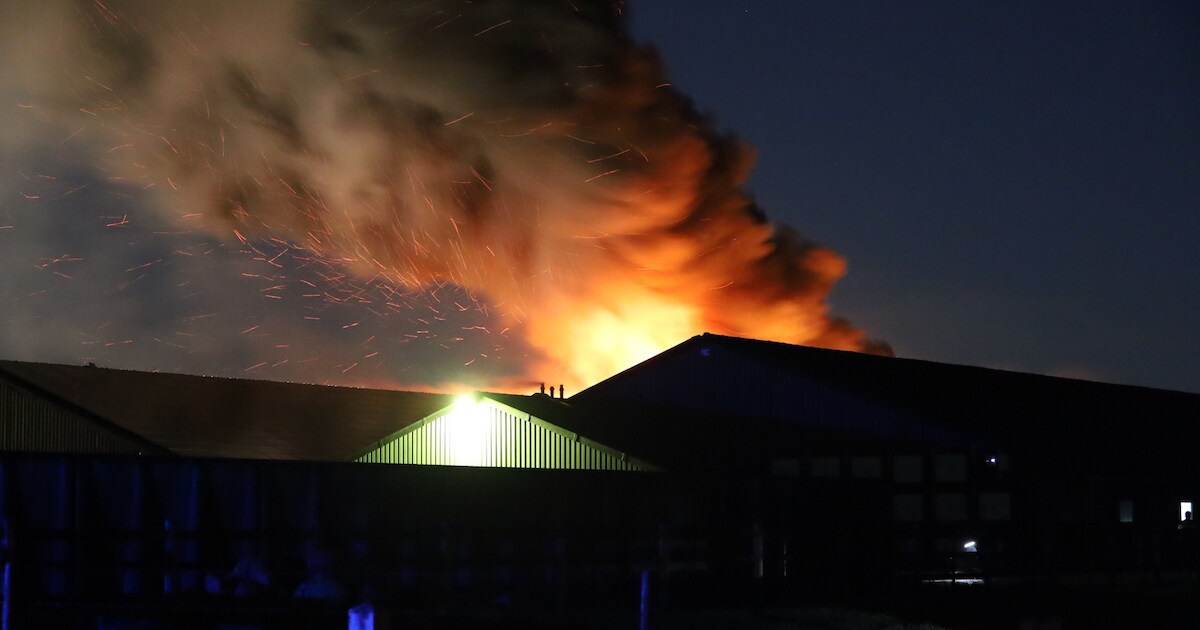 Oorzaak stalbrand bij Coppens Boekel niet te achterhalen | Boekel | bd.nl
