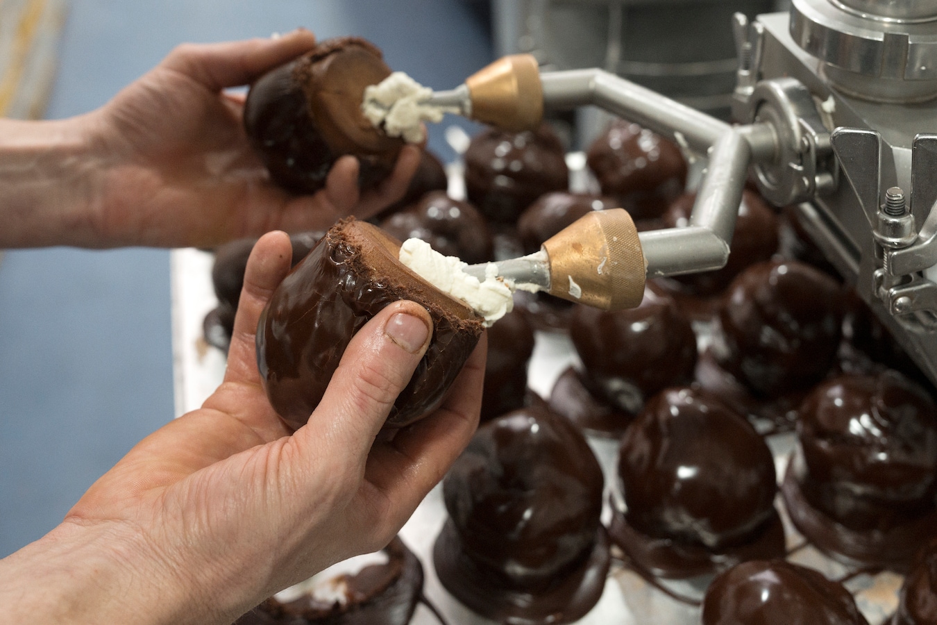 Gezocht: vuller van Bossche bollen bij de bekende banketbakker (en ...