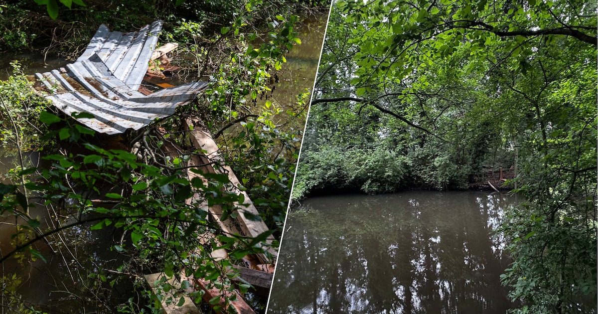 Eiland bij Prehistorisch Dorp is eindelijk weer schoon: ‘Nog dezelfde ...