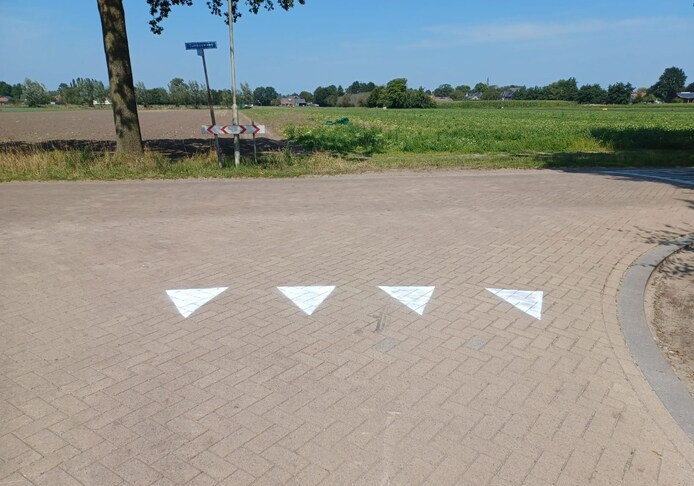 Wie kalkt in vredesnaam die haaientanden op de weg? ‘Zo'n actie is echt ...