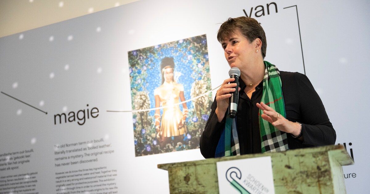 Commissaris van de koning lovend over Schoenenkwartier en nieuwe ...