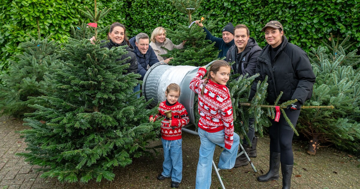 Kerstbomen-familie Lentjes met z’n allen aan de bak tijdens drukste dag ...