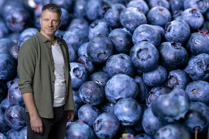 Niet vergeten de blauwe bessen weg te gooien | Opinie | bd.nl