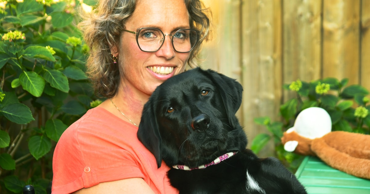 Angela waarschuwt hondenbezitters na drama met hulphond Lara: ‘Wat als ...