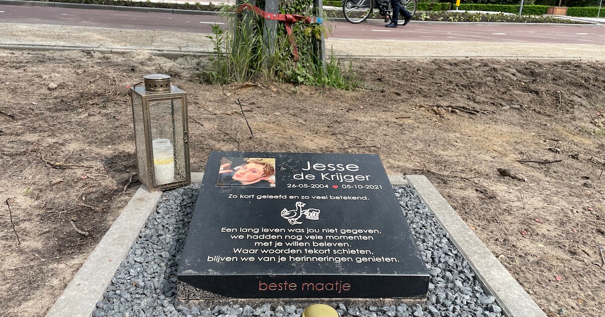 Vrolijke knuffelbeer Jesse wordt nog dagelijks gemist: ‘We zijn nooit ...