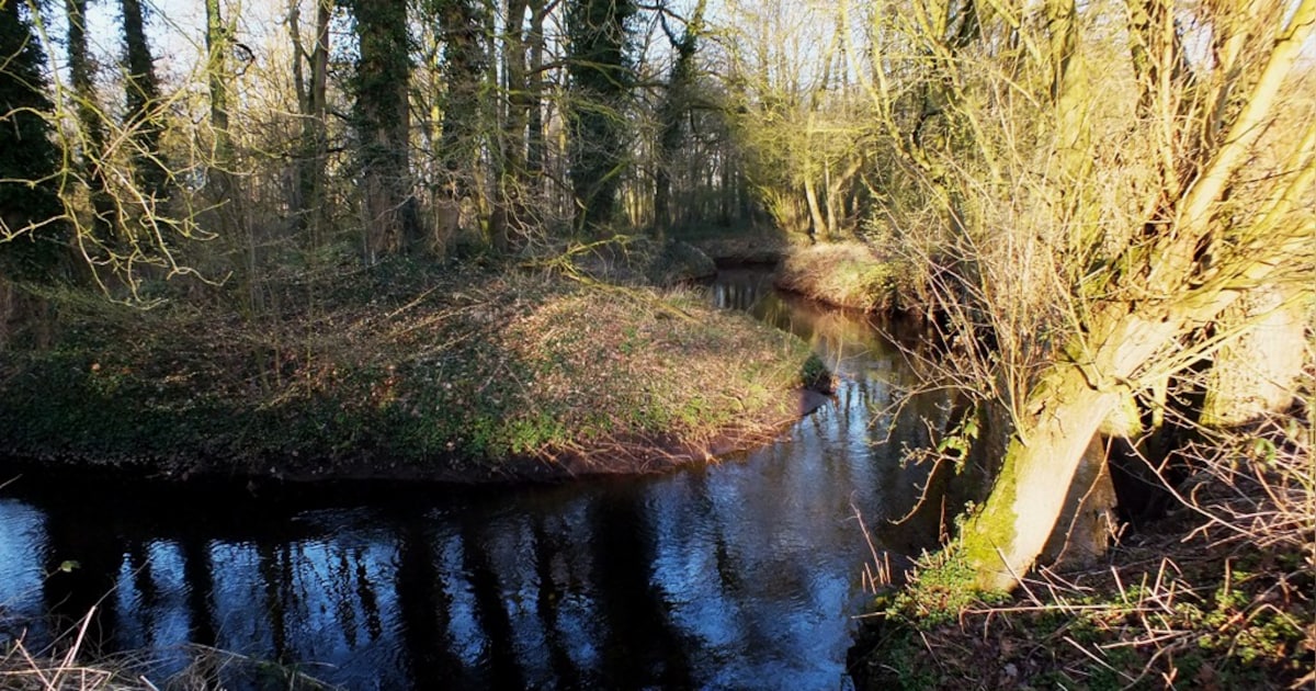 Wandeling in natuurgebied de Berken in Asten | Brabant | BD.nl