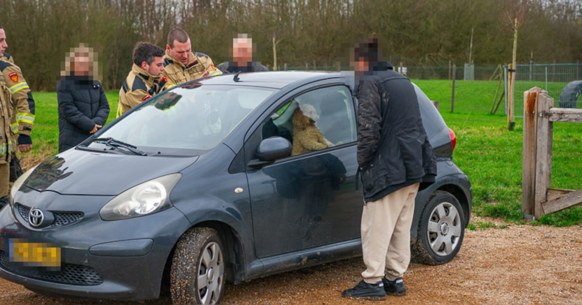 Hondje heeft geen zin in kerst en doet auto op slot als baasje even ...