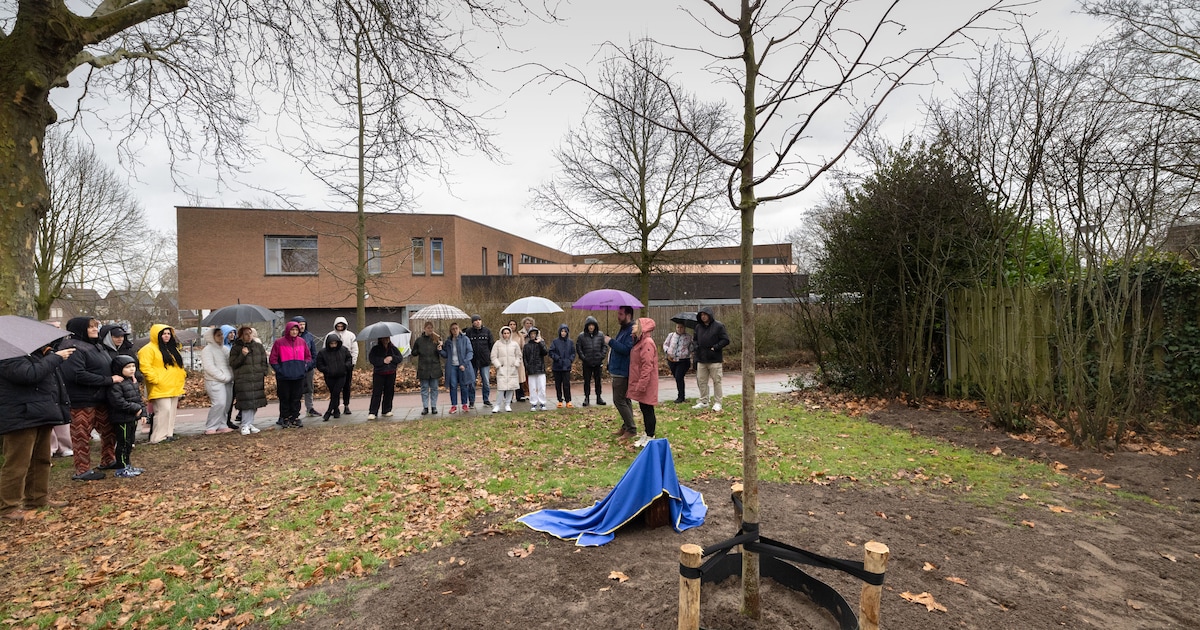Lindeboom voor vrede, liefde en saamhorigheid; Nuenen staat stil bij ...