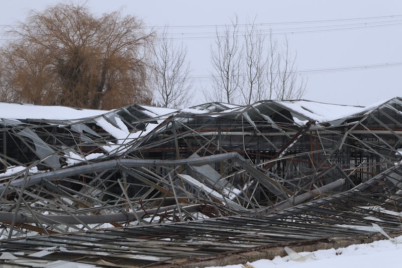 LIVE Sneeuw in Brabant | Ravage na instorten kassen in Waspik dag later ...