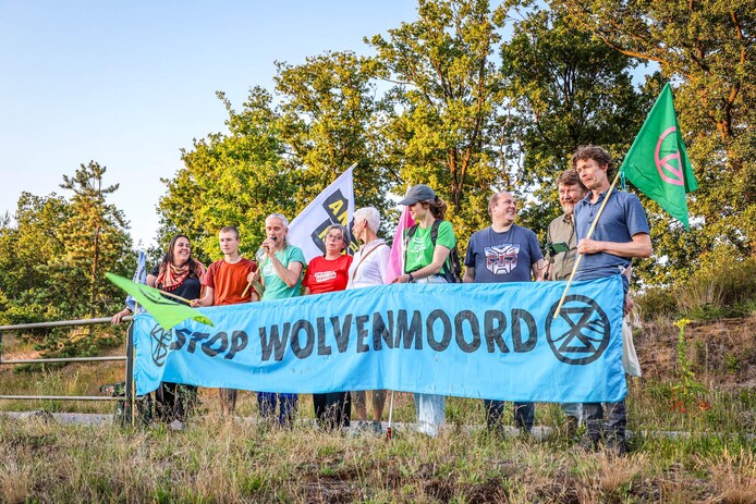 Protest tegen het afschieten van wolf Bram op Utrechtse Heuvelrug ...