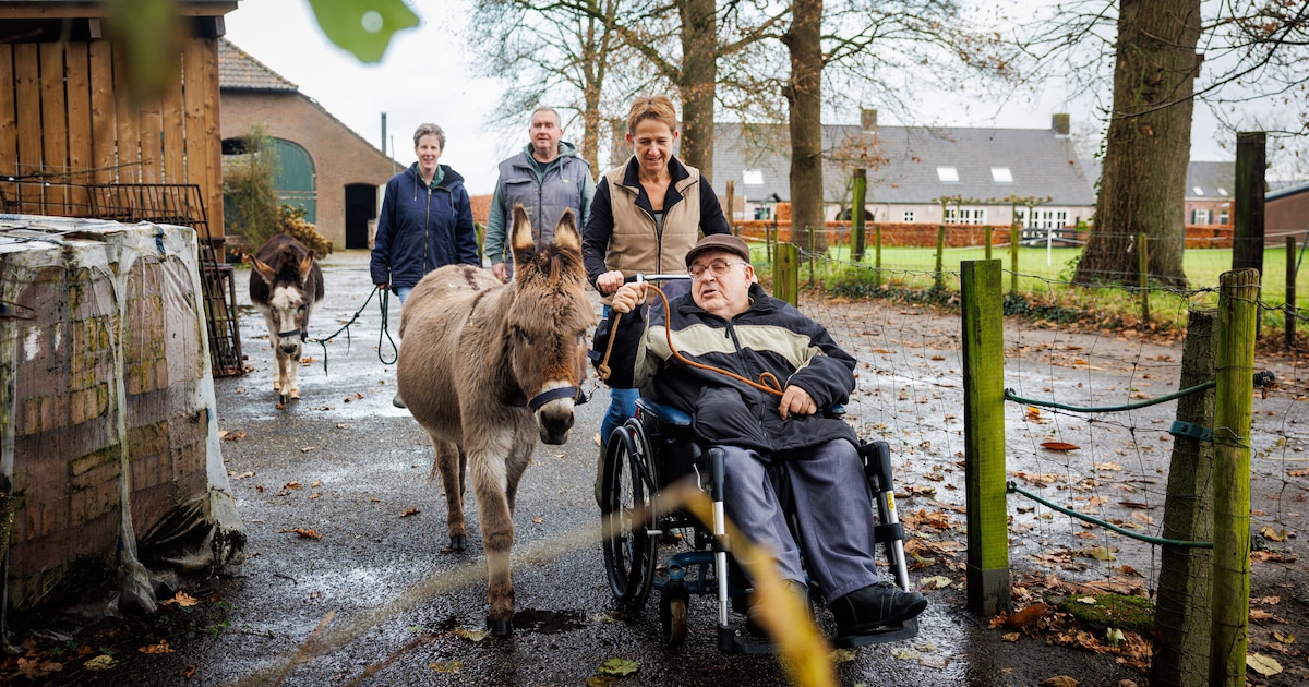 Martijn en Nicolette moeten hun zorgboerderij sluiten: ‘Zorg op maat lukt niet meer’ | Goirle ...
