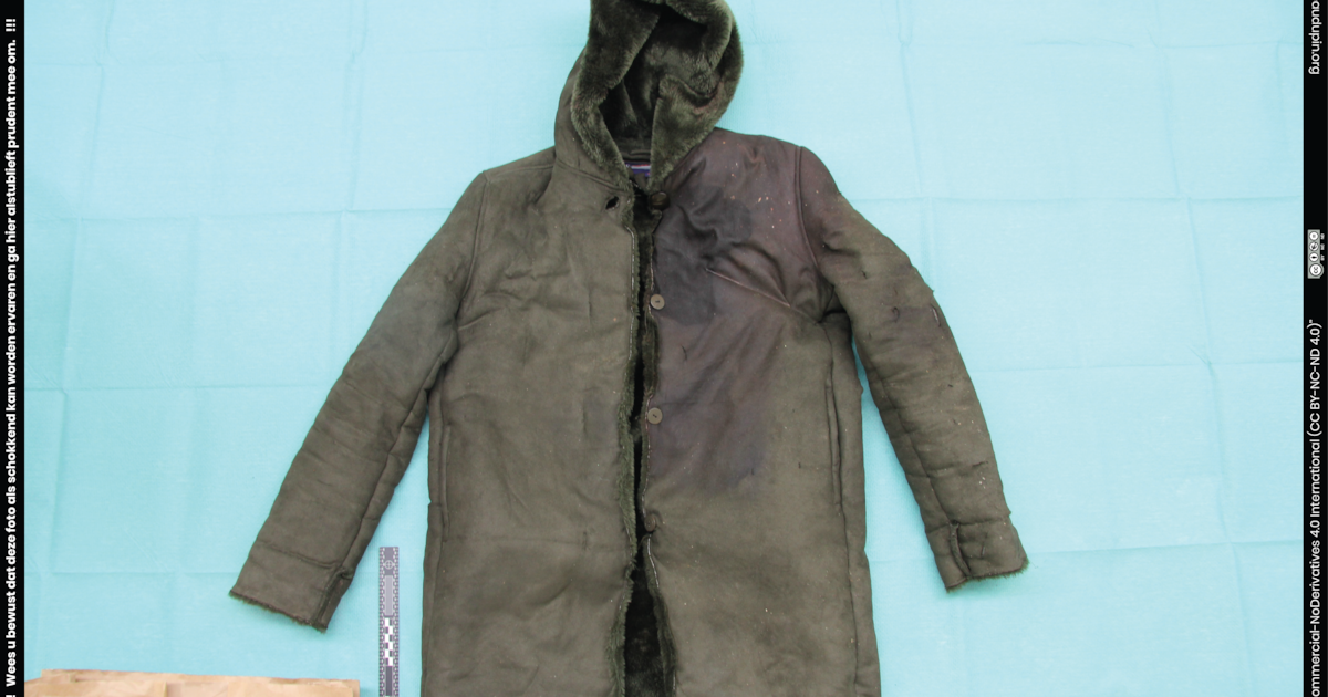 Puzzel van de ‘Osse nieuwjaarsmoord’ op Marja Nijholt is nog niet ...