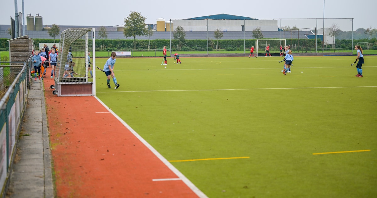 Boekelse hockeyclub luidt de noodklok want het veld is te glad, wat is ...