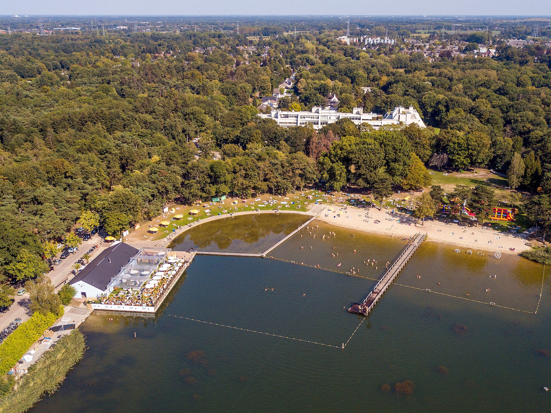 Man laat hond uit op vluchtstrook van de A2 bij Maarheeze, politie ...