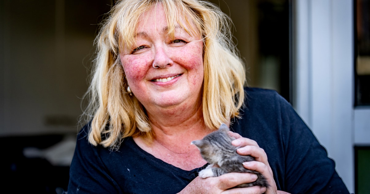 Poesje voor poesje werkt Lisette aan oplossing voor zwerfkattenprobleem in Tilburg | Brabant | BD.nl