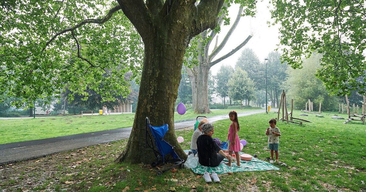 Julianapark Veghel krijgt facelift: ophoging en wadi tegen ...