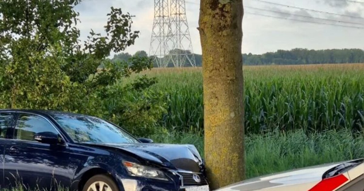 Rijbewijs afgenomen nadat automobilist onder invloed tegen boom rijdt ...