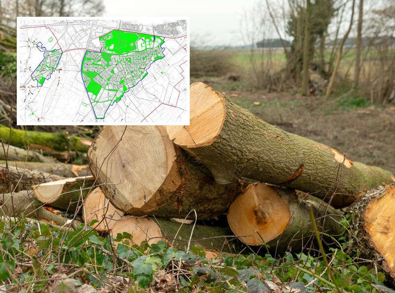 Goirle kapt in de kapvergunningen: ‘Wel eerst naar de groene kaart ...
