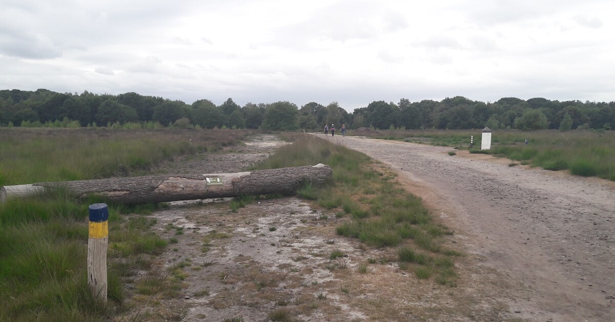 Het nieuwe schelpenpad over de Regte Heide is alleen voor minder ...