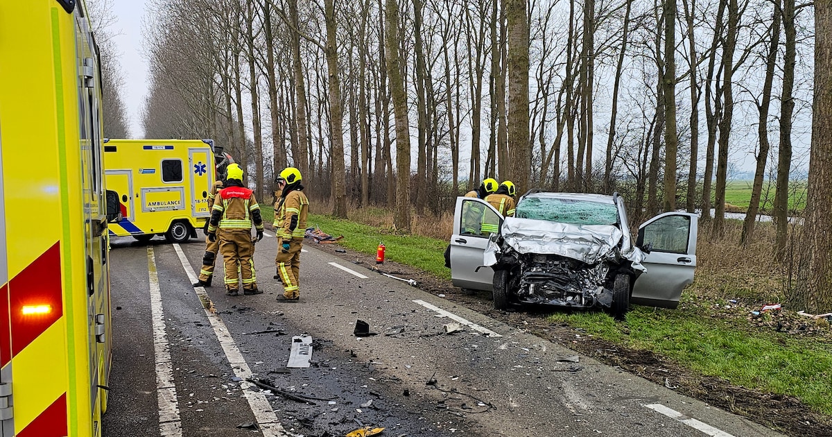 20-jarige man overleden na ongeluk op N214 bij Wijngaarden | West ...