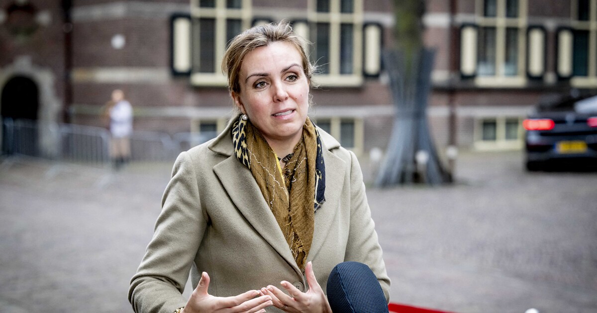 Demissionair staatssecretaris Heijnen in verwachting van eerste kind ...