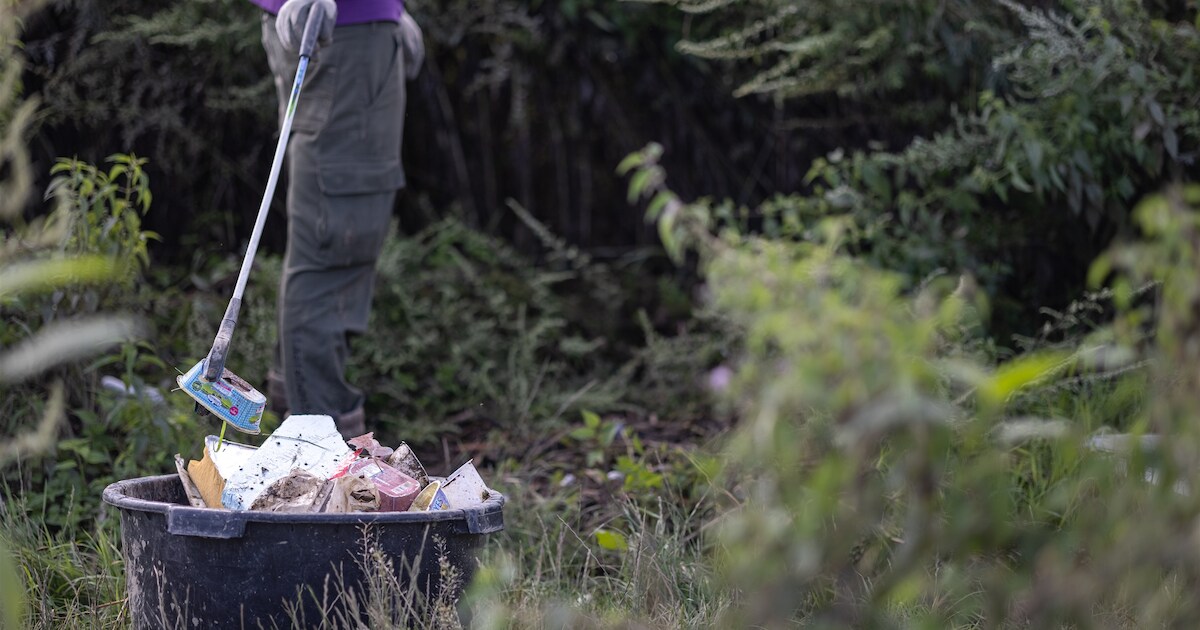 Clean-Up-Walk in Hilvarenbeek voor een schone natuur | Hilvarenbeek | BD.nl
