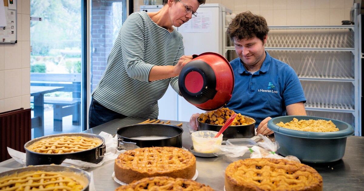 Fameuze appeltaart en méér op verkoopdag De Harmonika | Uit-tips ...