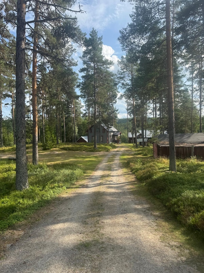 Van Vuren naar Västernorrland: jaar na emigratie van Wesley van Eck en ...