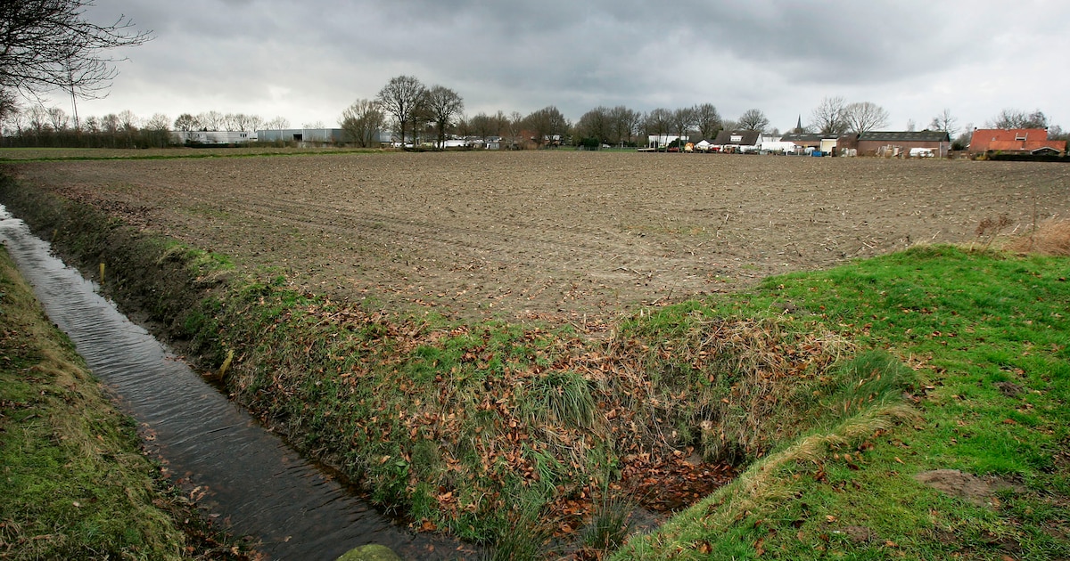 Provinciebestuur stapt nu naar rechter: strijd over uitbreiding Bolle ...