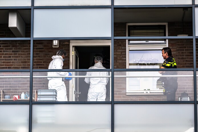 Verdachte van met hamer doodgeslagen Goirlese vrouw (43) bekent, maar weerspreekt moord | Goirle ...