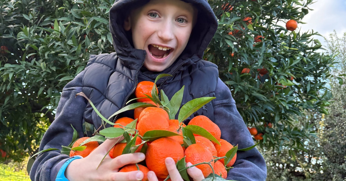 Moeder schrikt van tuinbonen in vlees: ‘Als Archie zegt dat hij moe is ...