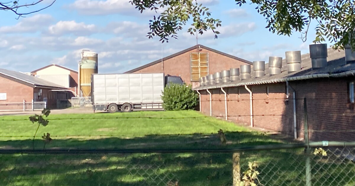 Dit is waarom de Boekelse varkensboer tóch niet gaat slopen, maar plotseling wil uitbreiden ...