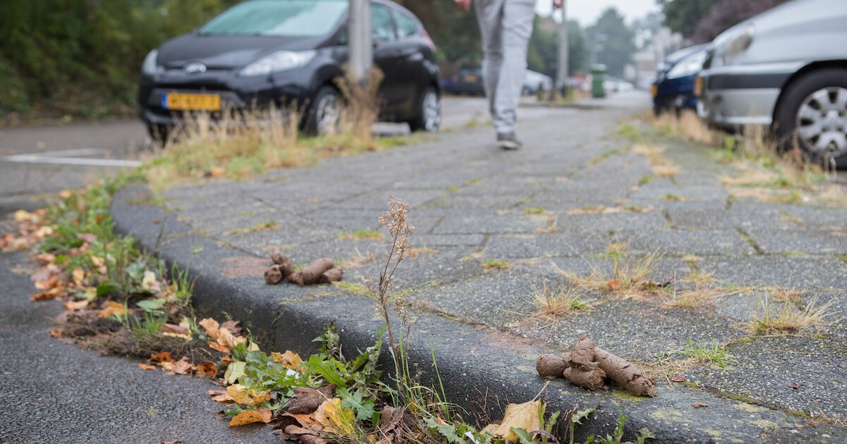 Brabantse gemeenten komen geld tekort voor onderhoud school, sporthal en straat: ‘Dat gaat ...