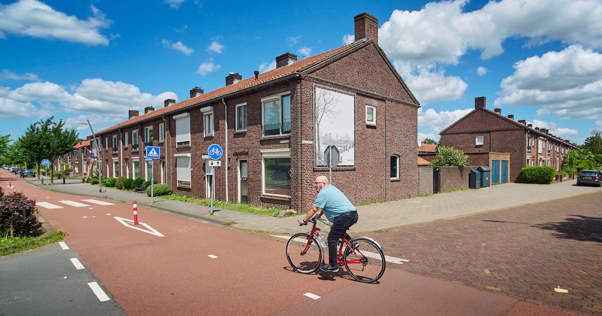 Roofvogelbuurt in Oss gaat voor een deel ook plat: ‘Als ik maar niet ...