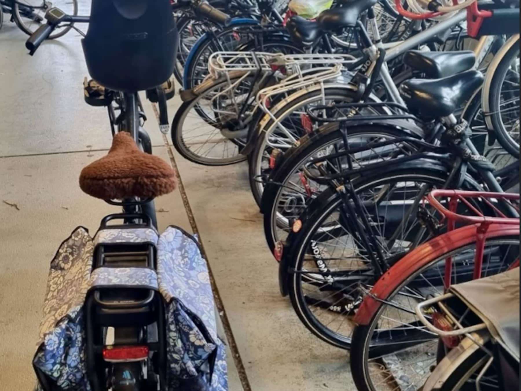 Fietsendief uit Den Bosch knipt slot door voor ogen van wijkagent | Den ...