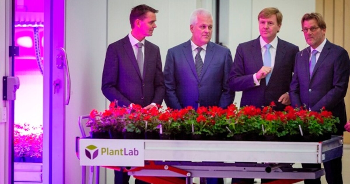 Deel top PlantLab Den Bosch stapt op | 's-Hertogenbosch | BD.nl